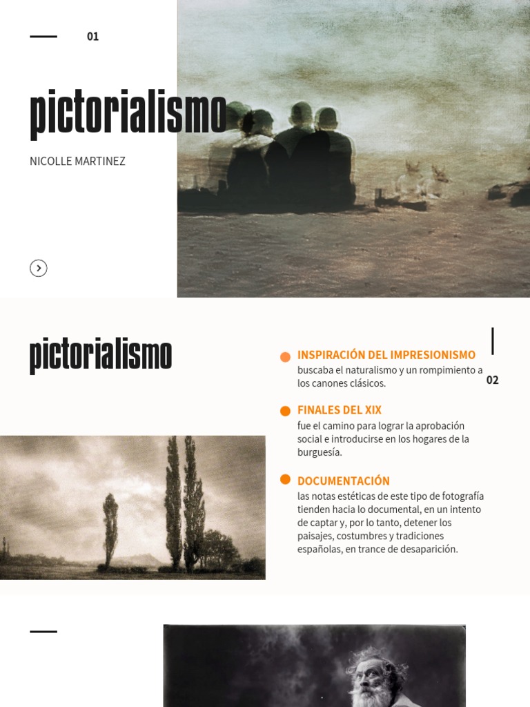 Pictorialismo: Fotografía y Arte del XIX | PDF | Imagen | Visión
