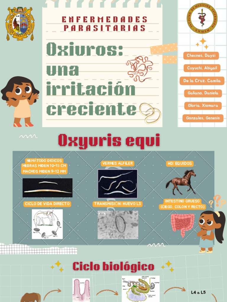 Oxiuros Expo | Descargar gratis PDF | Enfermedades y trastornos ...