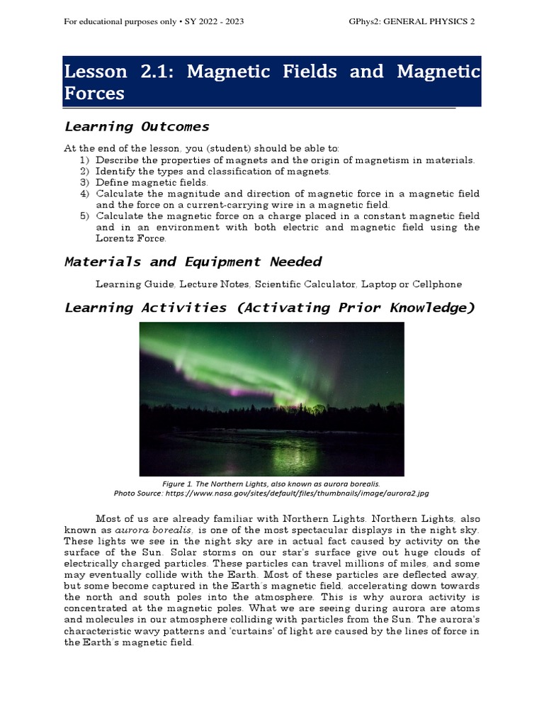 Lesson 2.1 - Magnetic Field and Magnetic Forces | PDF | Magnetic Field ...