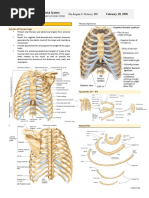 Costal Arch | PDF | Thorax | Thorax (Human Anatomy)