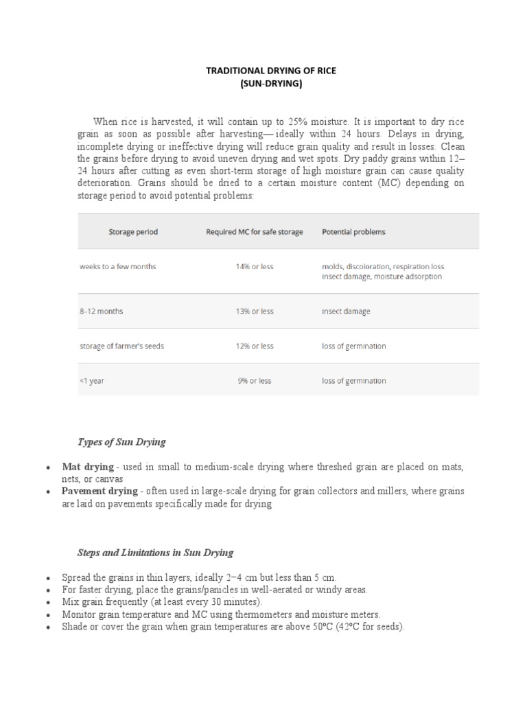 Sun-Drying Rice: A Practical Guide | PDF | Rice | Grain