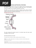 Science 3 DLP 3 - Parts of Eyes and Their Functions | PDF | Eye | Cornea