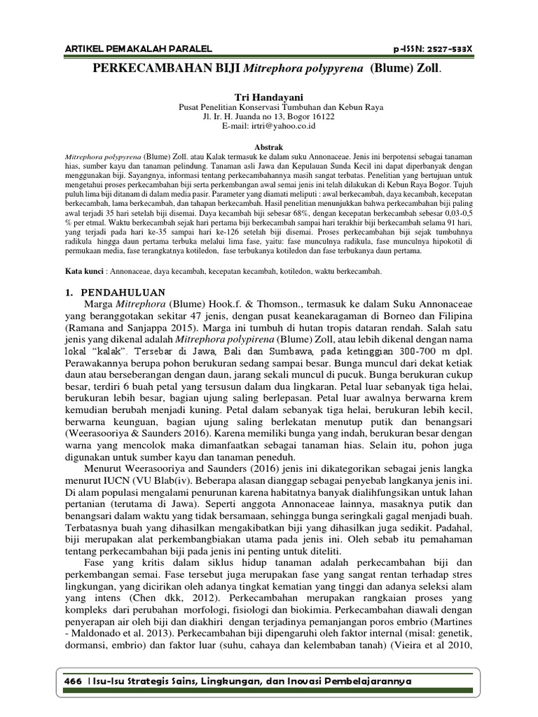 PERKECAMBAHAN BIJI Mitrephora Polypyrena (Blume) Zoll.: Tri Handayani | PDF