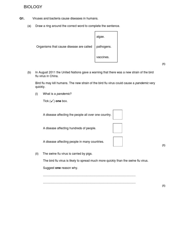 Year 9 Paper | PDF