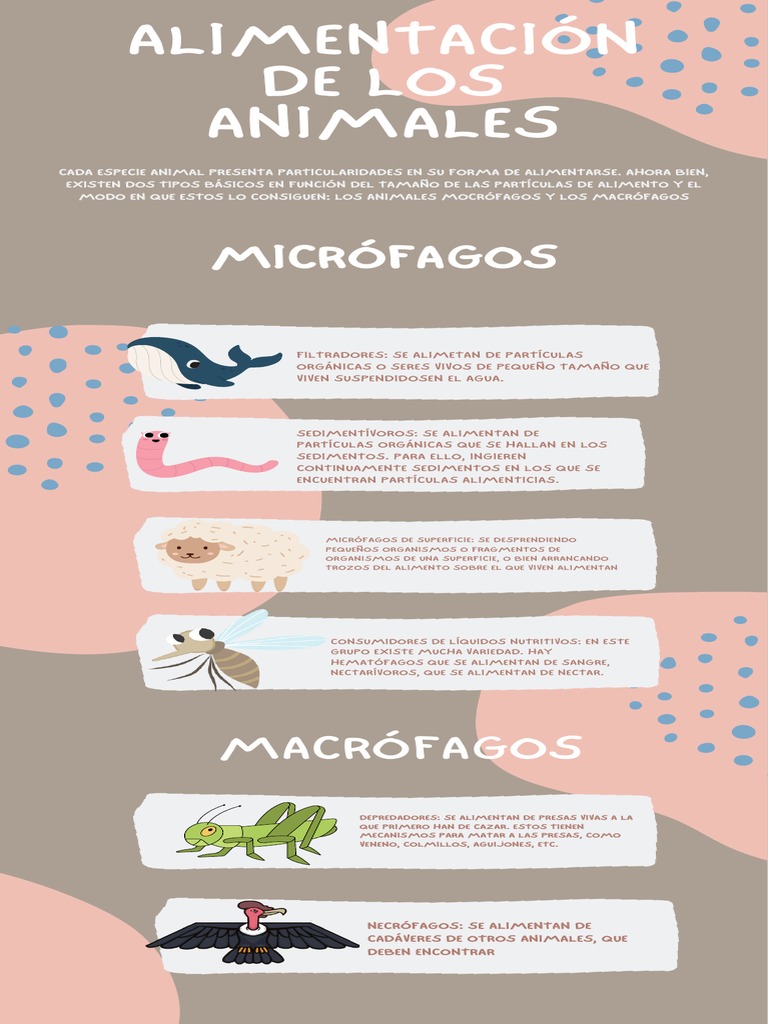 Alimentaci N de Los Animales | PDF