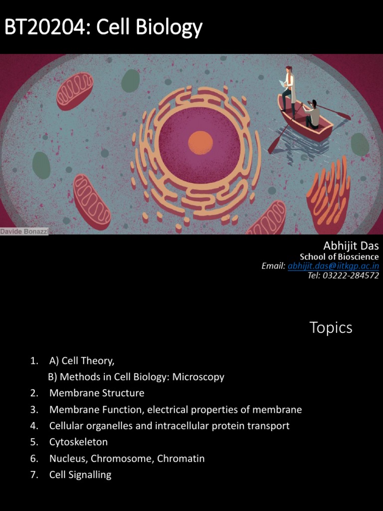 Cellular Organization in Biology | PDF | Cell (Biology) | Prokaryote