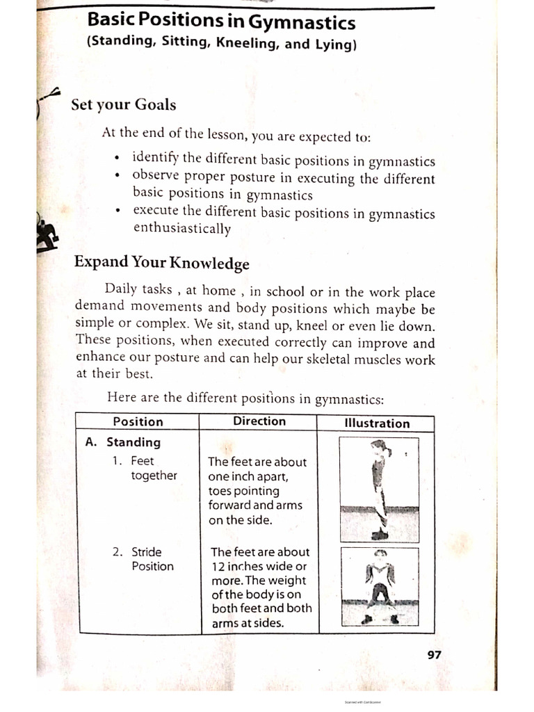 Basic Positions in Gymnastics | PDF