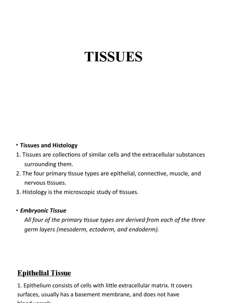 TISSUES | PDF | Epithelium | Connective Tissue