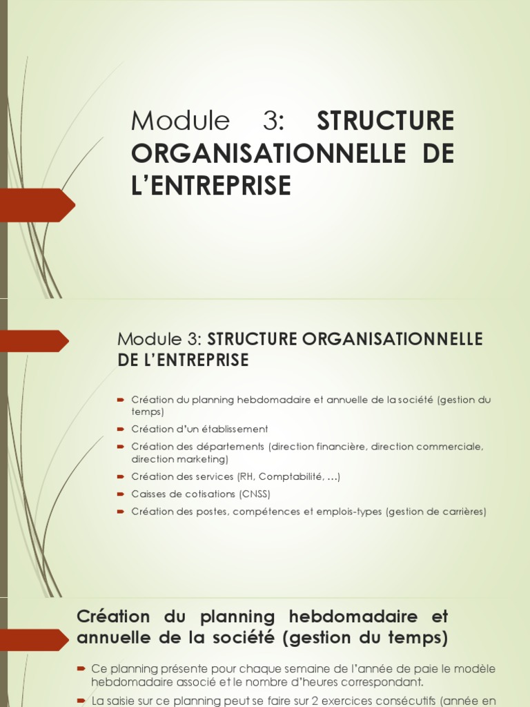 Module 3-STRUCTURE ORGANISATIONNELLE DE L'ENTREPRISE | PDF