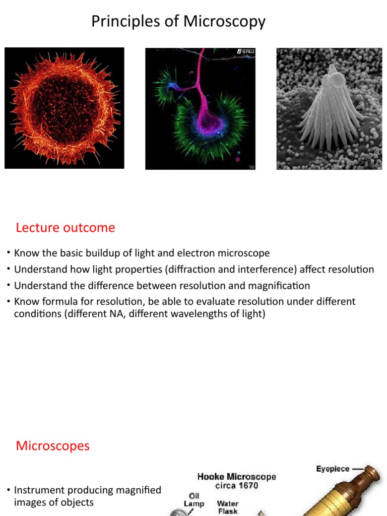 L Principles Micros | PDF | Angular Resolution | Microscopy