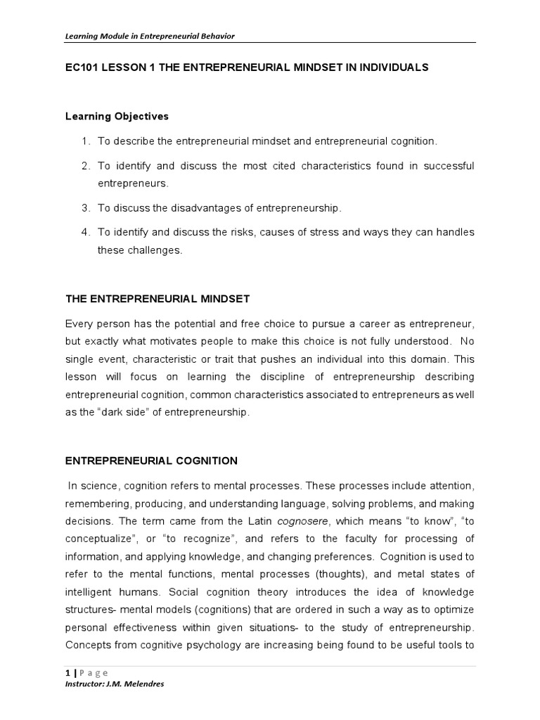 Understanding the Entrepreneurial Mindset | PDF | Entrepreneurship ...