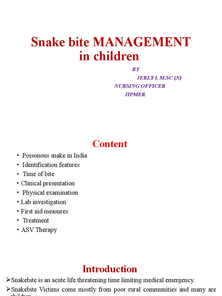 Snake Bite | PDF | Intravenous Therapy | Clinical Medicine