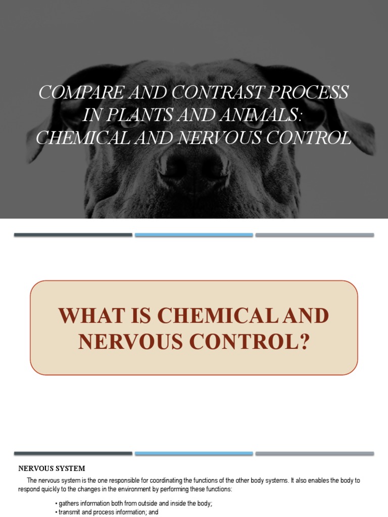 Compare and Contrast Process in Plants and Animals | PDF