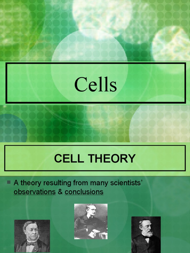 Cell Theory Modified | PDF | Cell (Biology) | Endoplasmic Reticulum