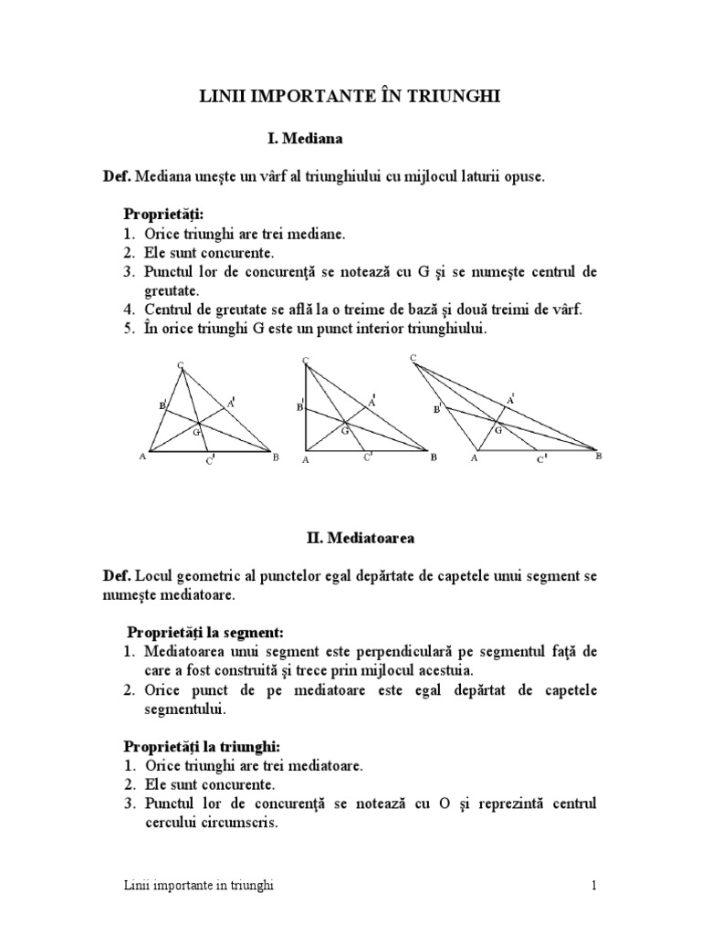 Linii Importante in Triunghi | PDF