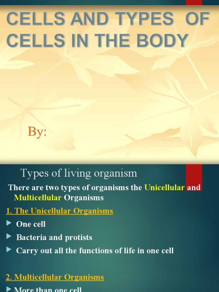 The Cell | PDF | Cell (Biology) | Cell Membrane