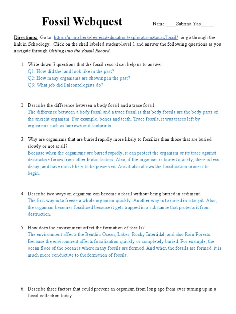 FOSSIL WEBQUEST (2023) HomeWork | PDF | Fossil | Sedimentary Rock