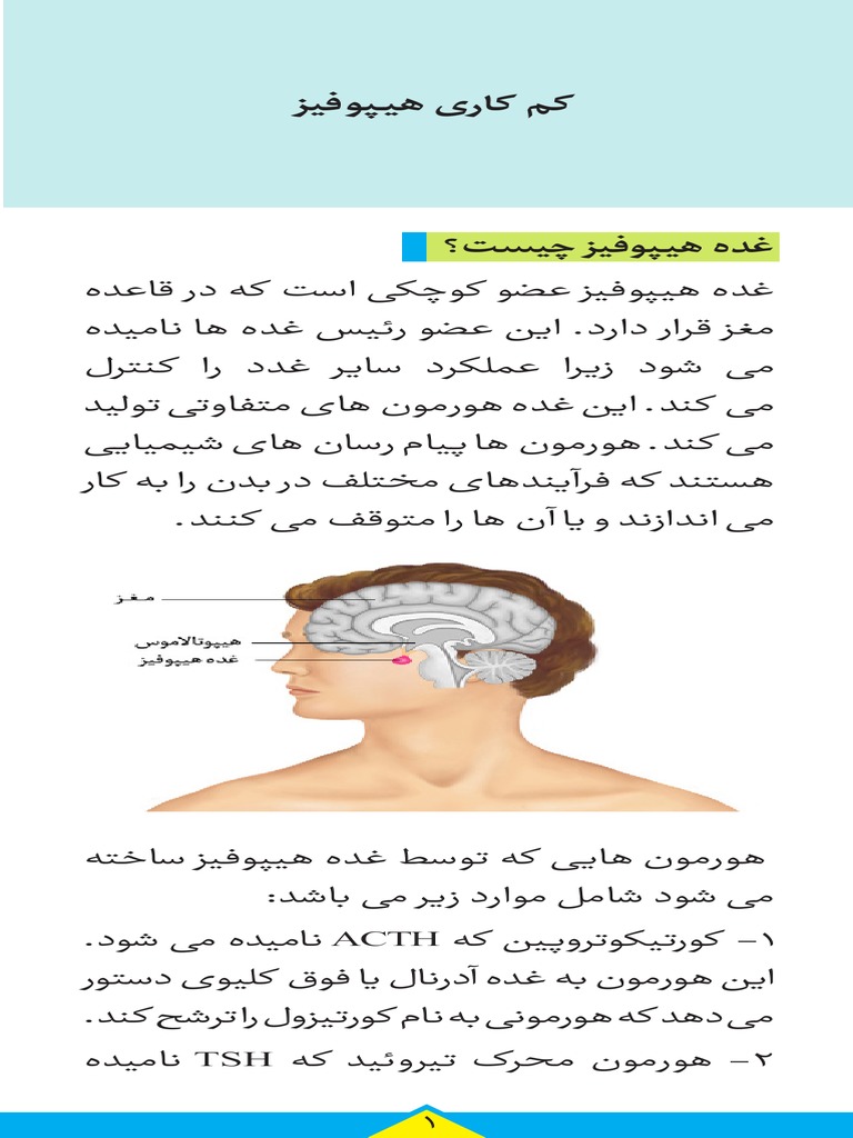 KHM Khry Hypwfyz | PDF