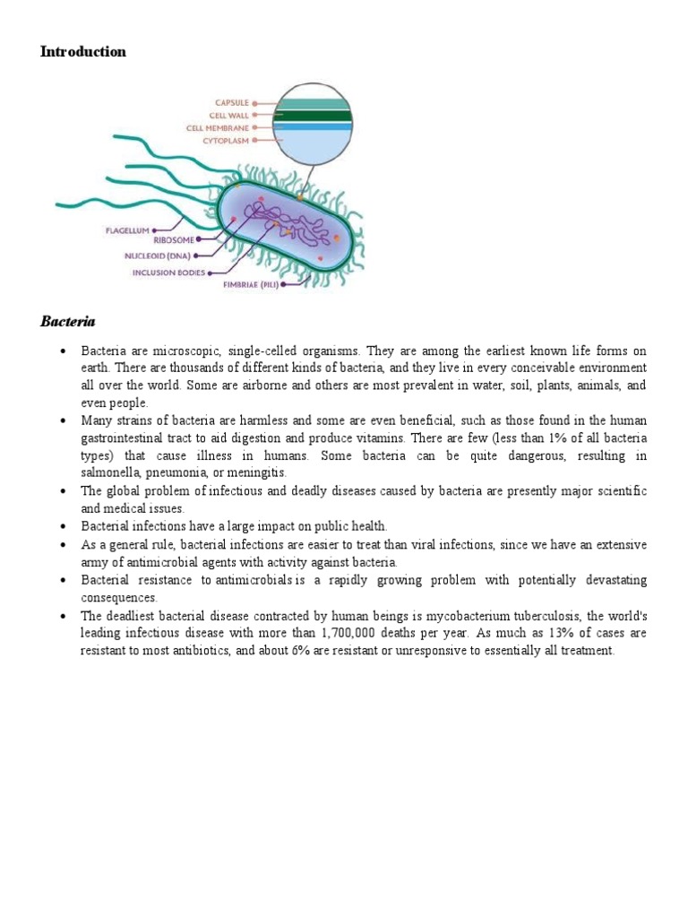 Bacterial Infections | PDF | Bacteria | Infection