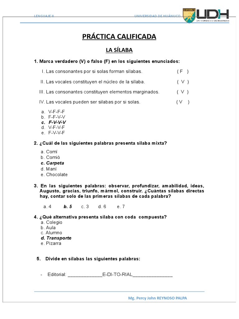 Práctica sobre la Sílaba en Lenguaje II | PDF