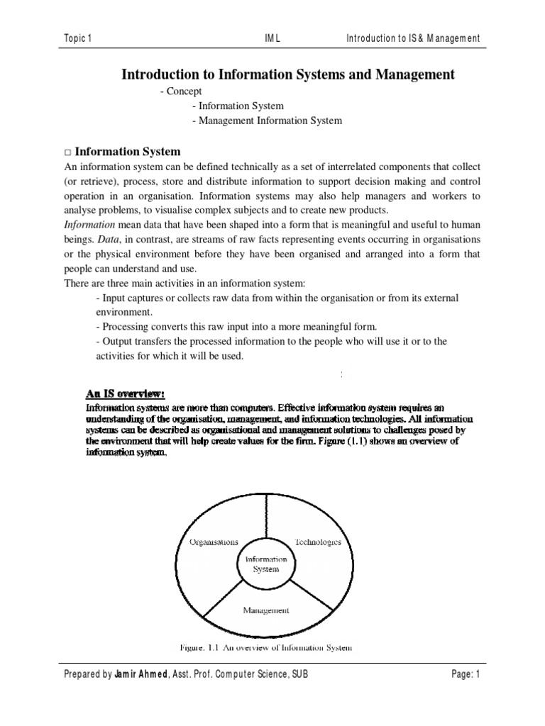 IML-1 Introduction To Information System and Management | PDF ...