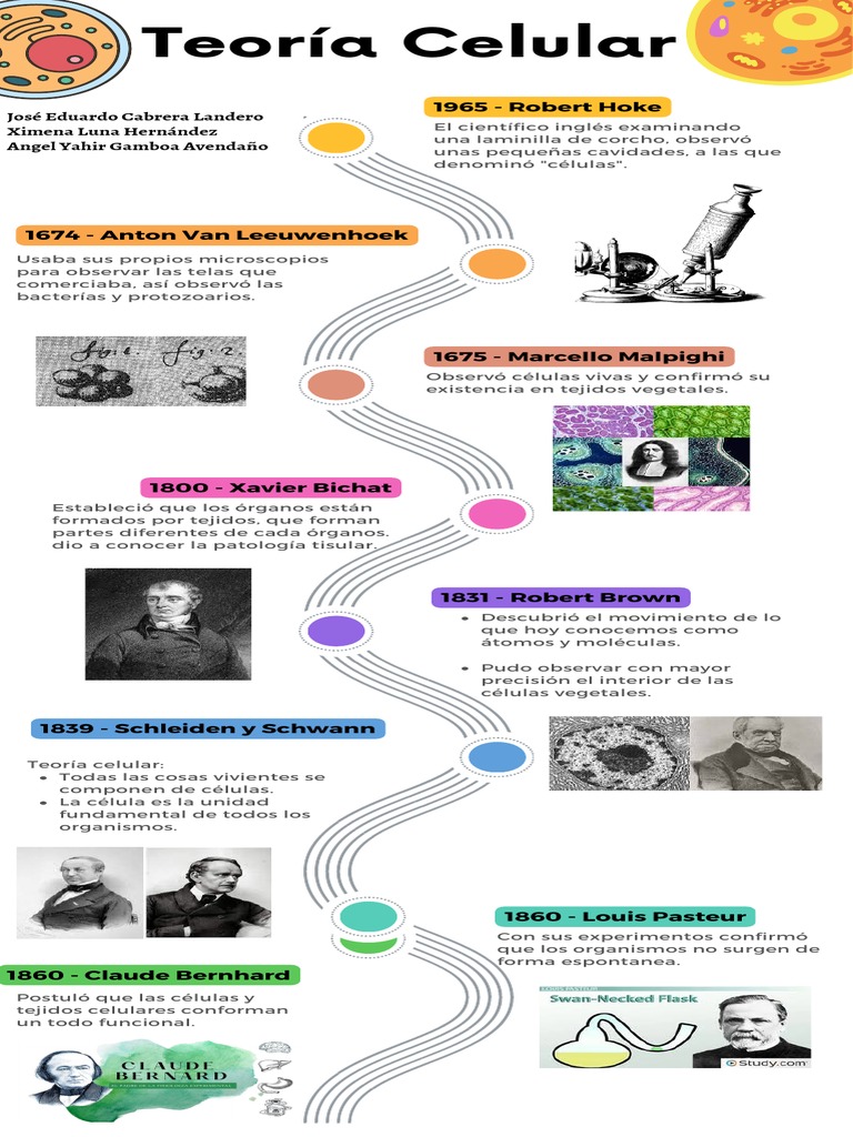 Linea Del Tiempo Teoría Celular | PDF | Biología Celular) | Organismos
