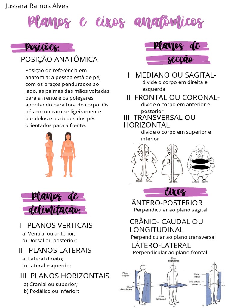 Planos e Eixos Anatômicos | PDF