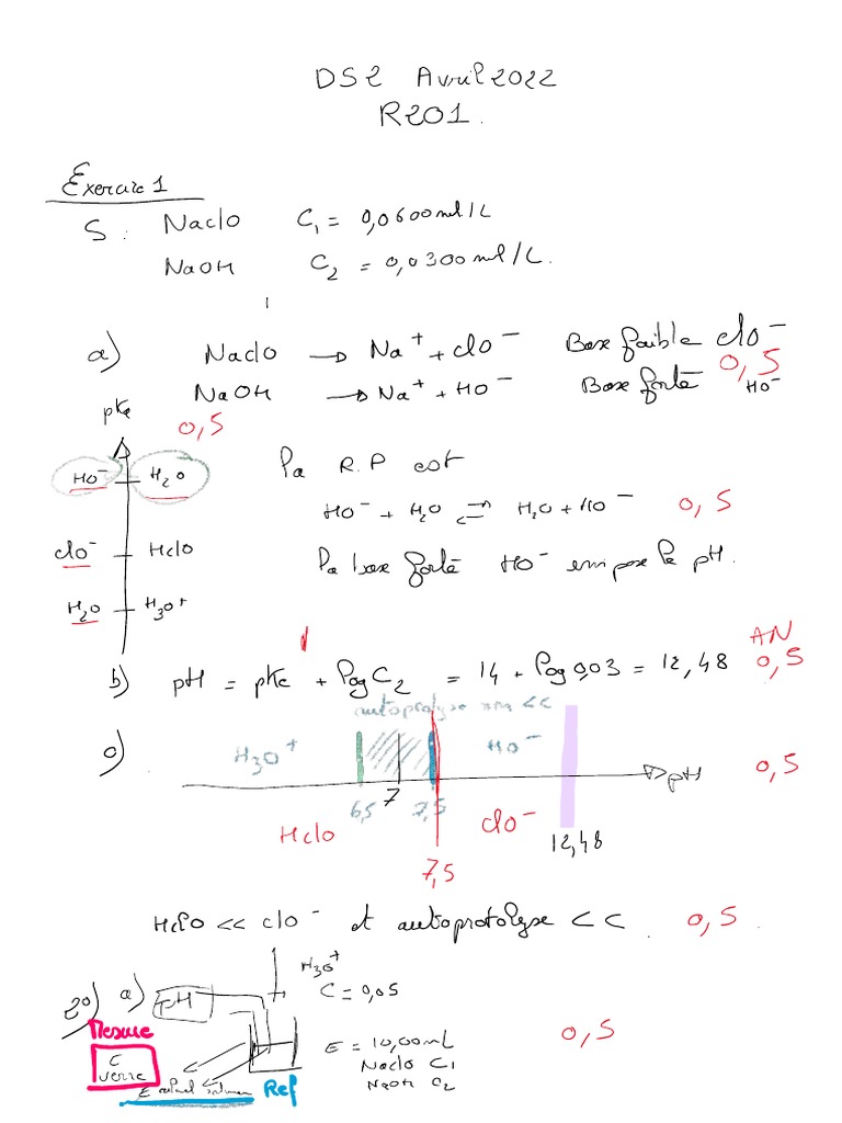 DS2 Correction | PDF