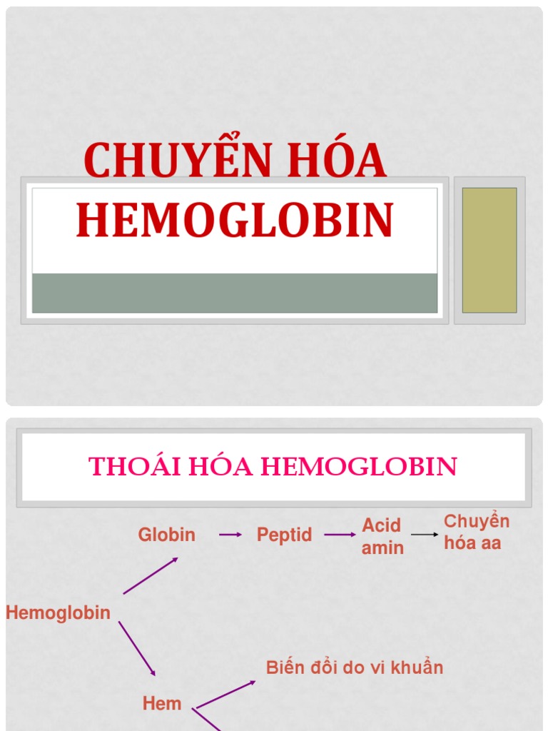 Chuyển Hóa Hemoglobin | PDF