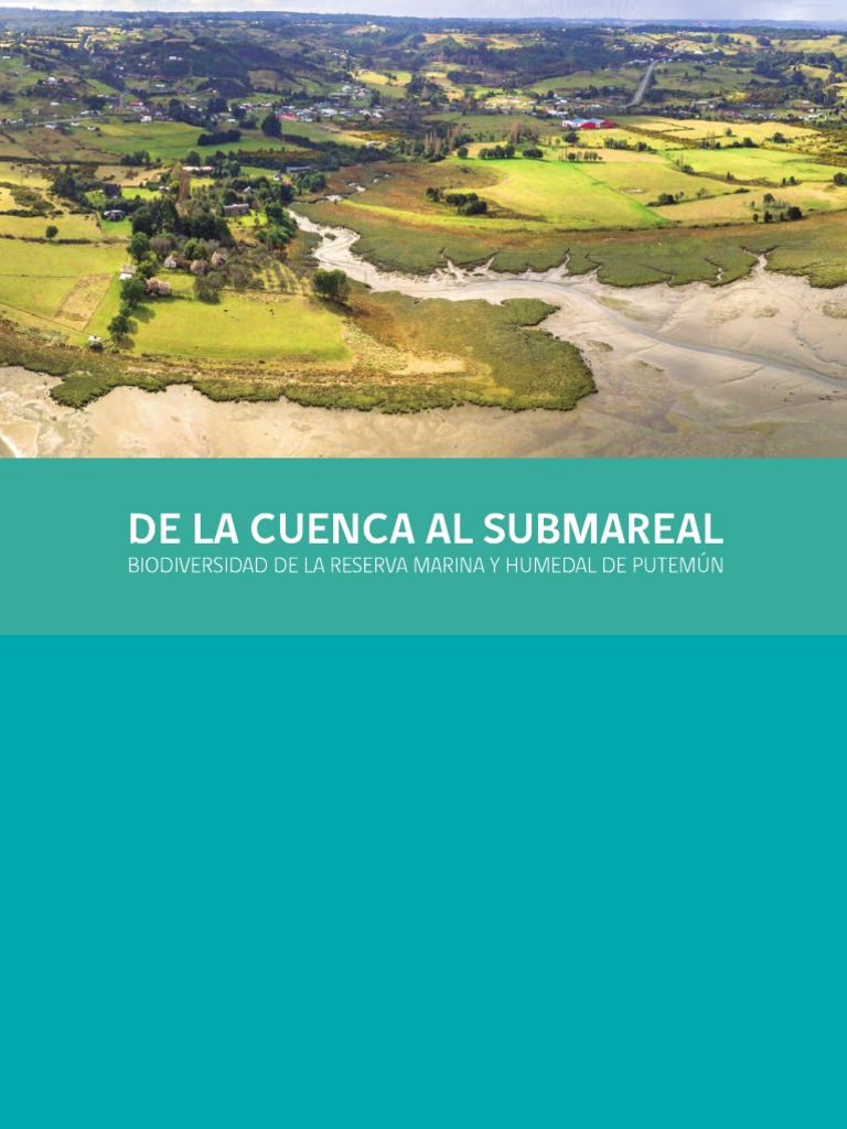 Valenzuela Et Al. (De La Cuenca Al Submareal Biodiversidad de La Reserva Marina y Humedal de ...
