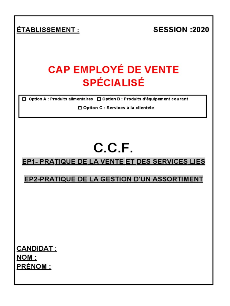 Dossier Professionnel Candidat 1 | PDF