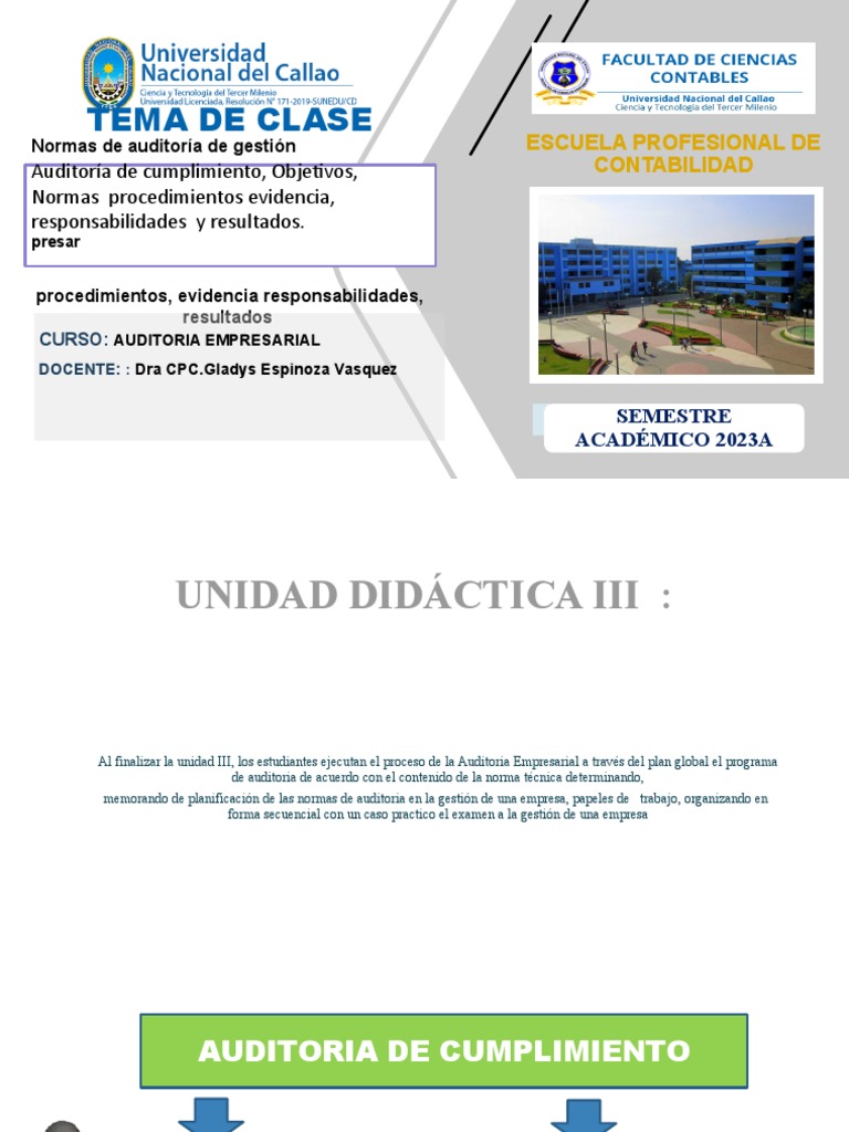 Auditoría de Cumplimiento 2023: Normas y Procedimientos | PDF | Tecnología