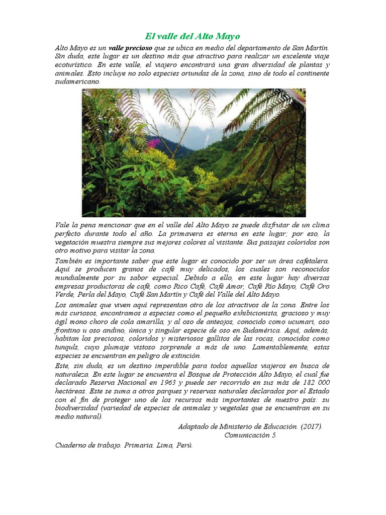 Atractivo Ecoturístico del Alto Mayo | PDF | café | Osos