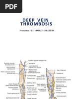 DVT: Acute vs Chronic Documentation | PDF | Thrombosis | Vein