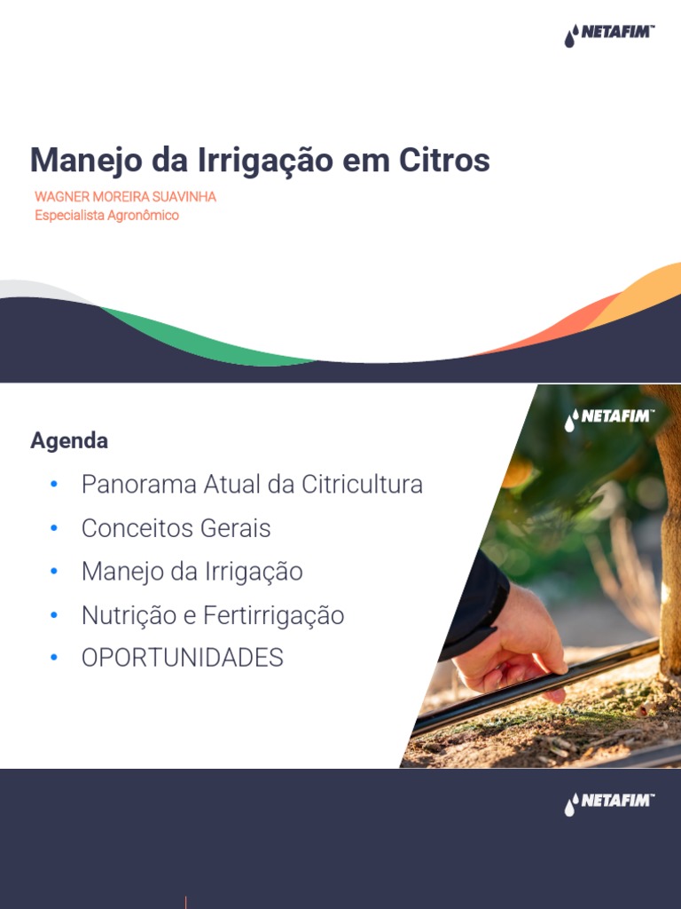 Manejo de Irrigação em Citros: Estratégias e Oportunidades | PDF ...