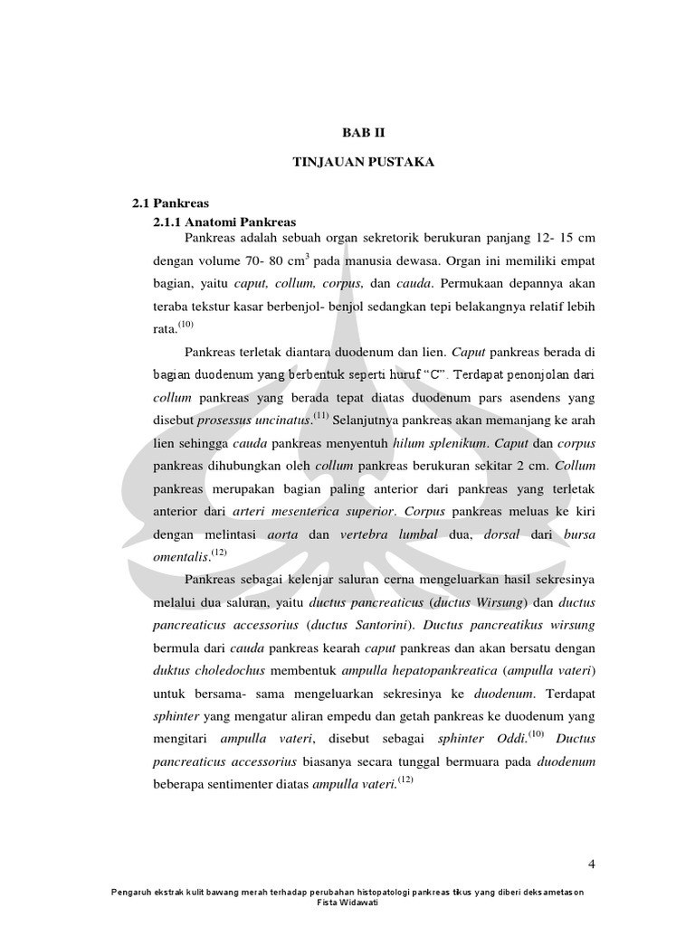 Studi Pankreas dan Efek Deksametason | PDF