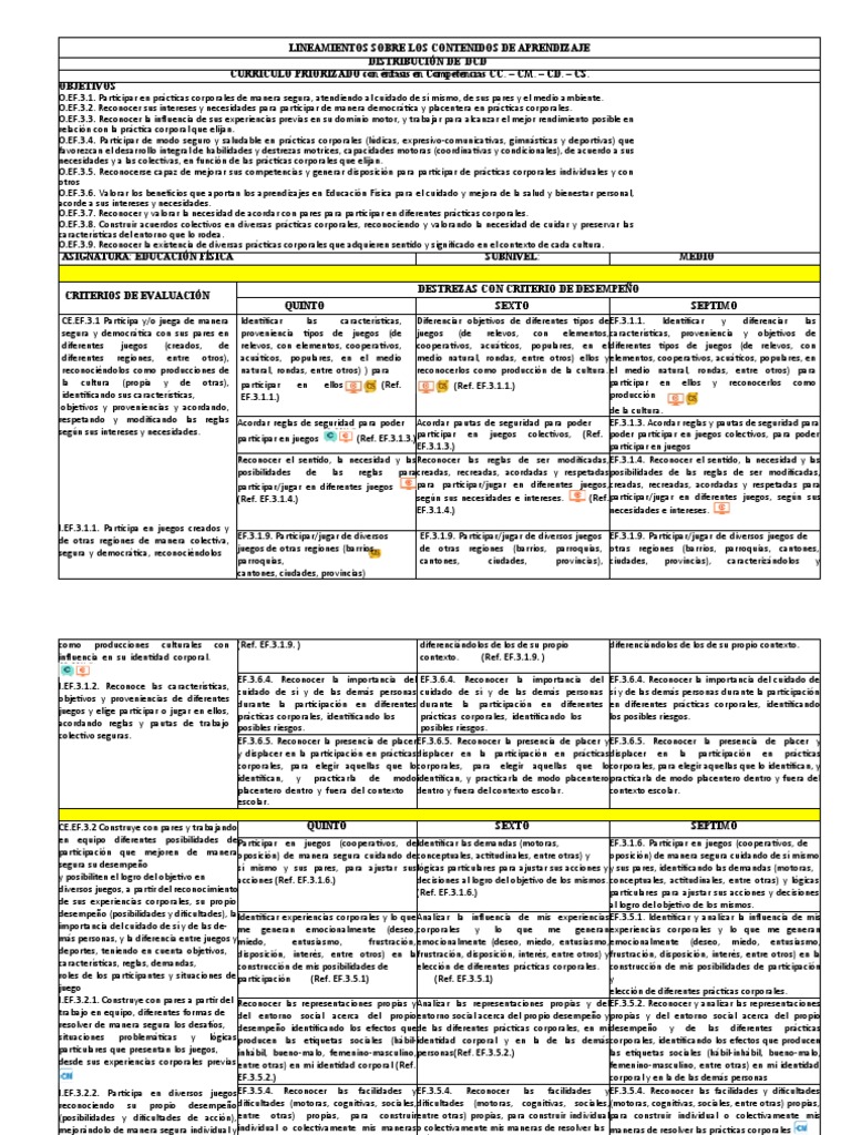 Formato para Barrido de DCD Eeff | PDF
