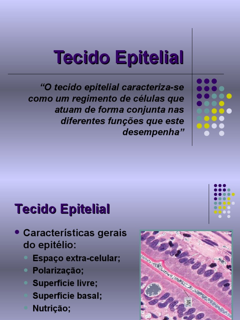 Aula 04 Tecido Epitelial Pdf