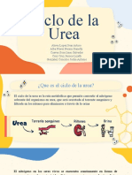 Ciclo de la Urea: Formación y Función | PDF | Urea | Bioquímica