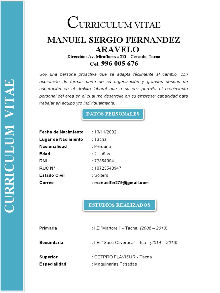CV Manuel Sergio Fernandez Aravelo | PDF