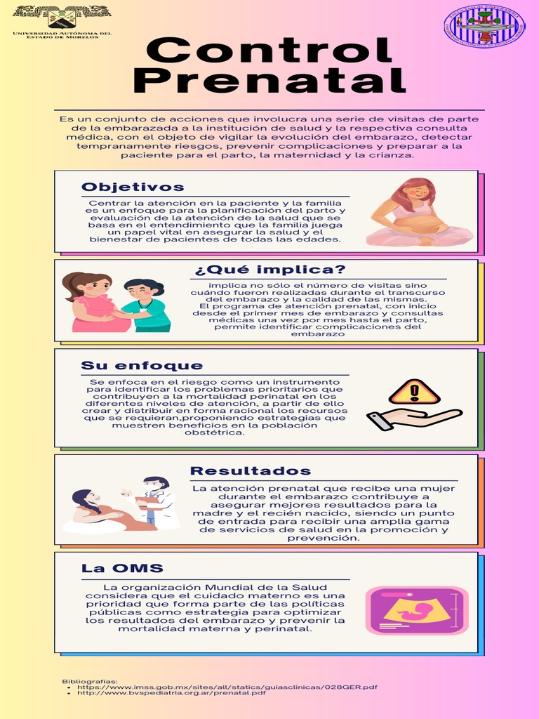 Control Prenatal | PDF