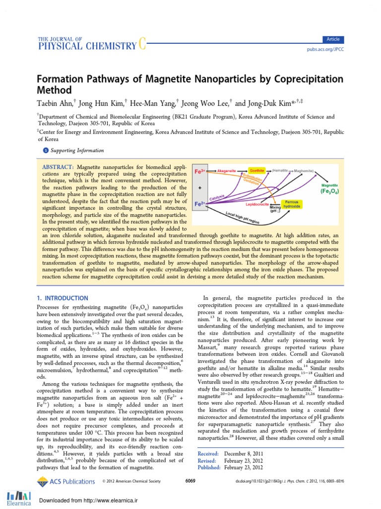 Formation Pathways of Magnetite Nanoparticles by Coprecipitation Method | PDF | Nanoparticle ...