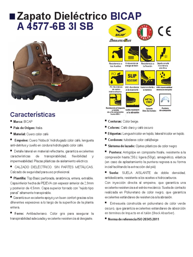 FT Bota Dielectricas Bicap | PDF