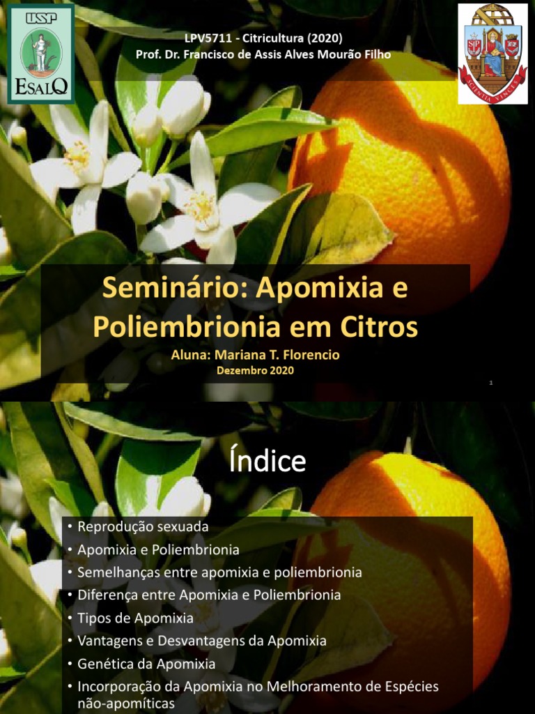 Apomixia e Poliembrionia em Citros | PDF | Meiose | Genética