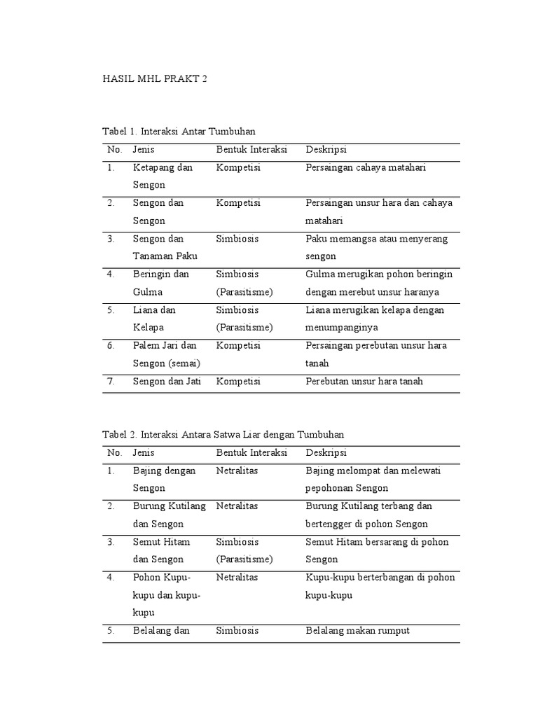Hasil MHL Prakt 2 | PDF
