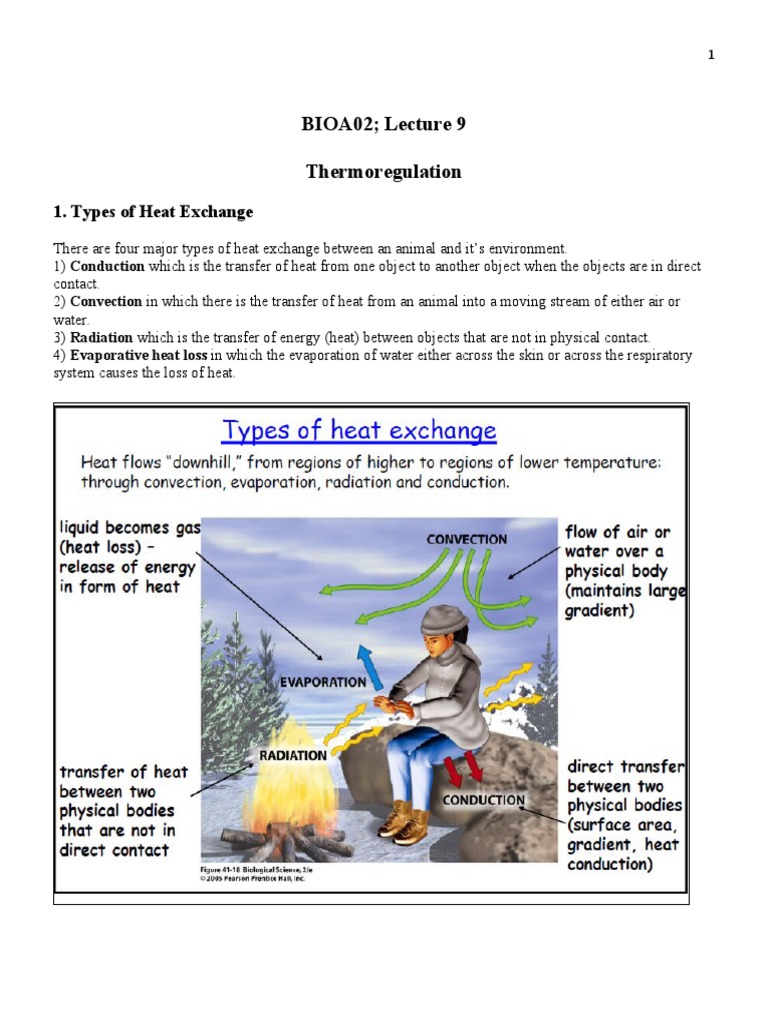 Lecture 9 Notes 2023 Thermoregulation - 398970199 | PDF ...