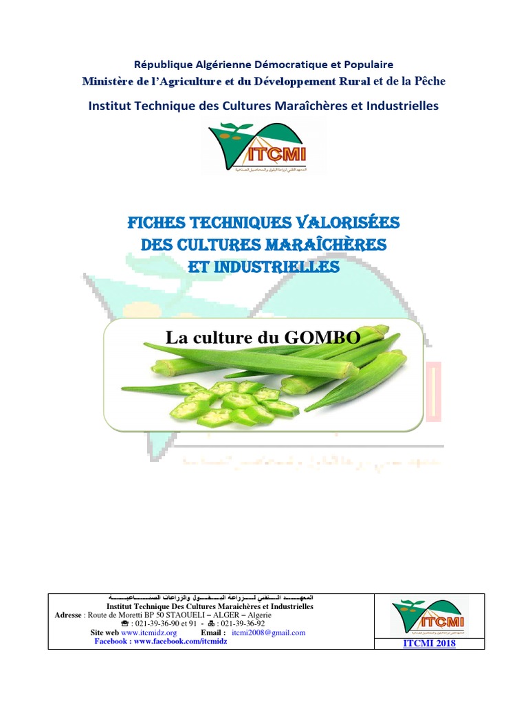 Fiche technique sur la culture du gombo | PDF | Botanique | Agriculture