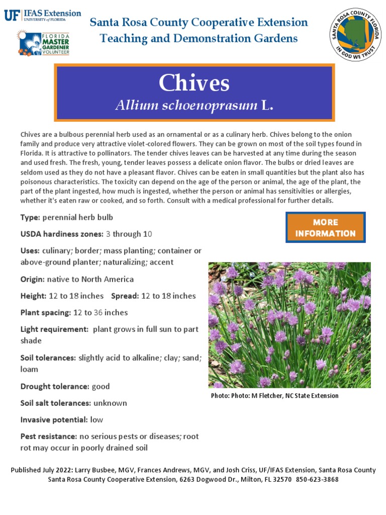 Chives | PDF