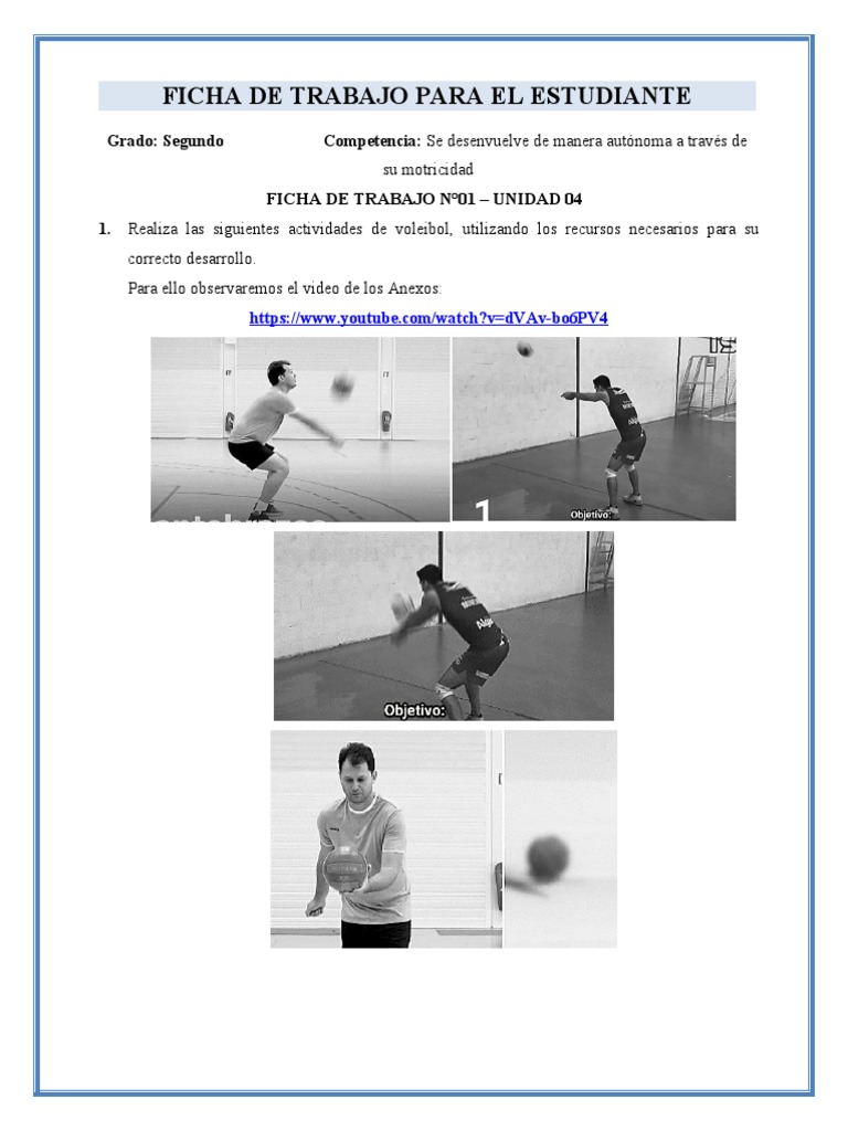 Unidad 4 - Ficha - Ef 2° - U4 | PDF