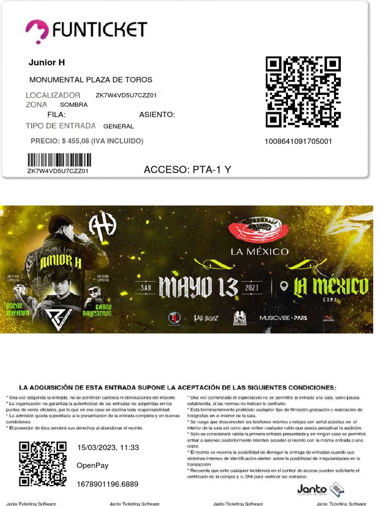 Boleto Junior H | PDF